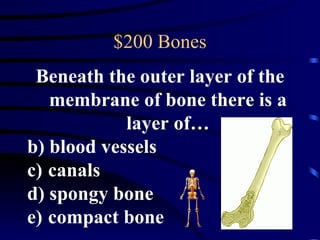 Bone Muscle Skin Jeopardy | PPT