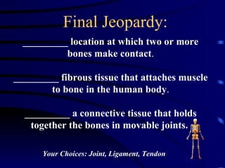 Bone Muscle Skin Jeopardy | PPT