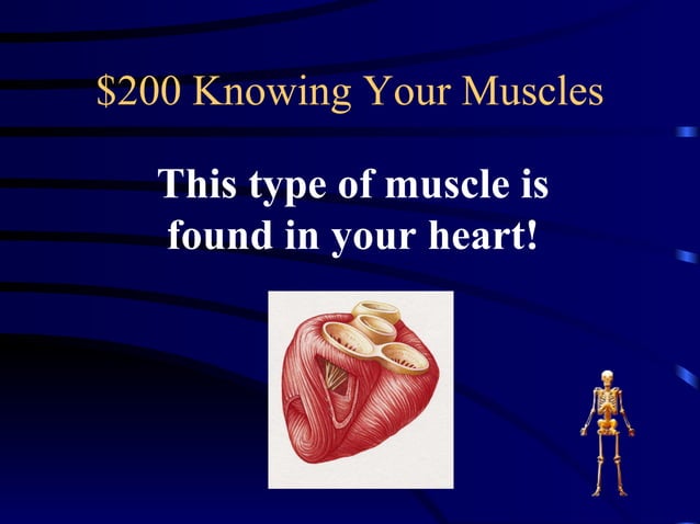 Bone Muscle Skin Jeopardy | PPT