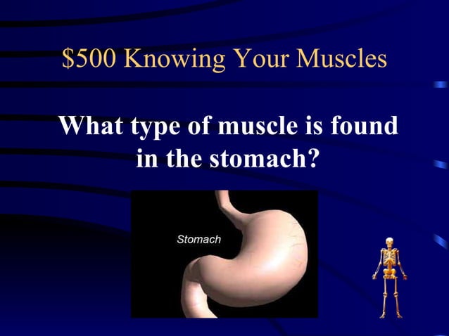 Bone Muscle Skin Jeopardy | PPT