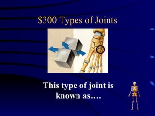 Bone Muscle Skin Jeopardy | PPT