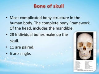 Bone of skull and what have inside D/Gamil | PPT
