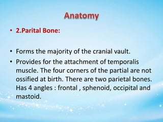 Bone of skull and what have inside D/Gamil | PPTX