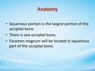 Bone of skull and what have inside D/Gamil | PPTX