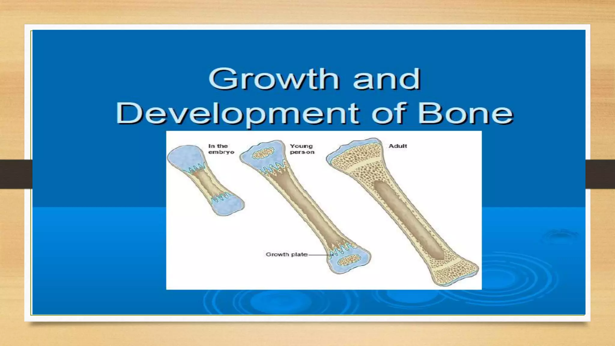 Bone ossification | PPTX