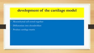 Bone ossification | PPTX