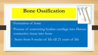 Bone ossification | PPTX