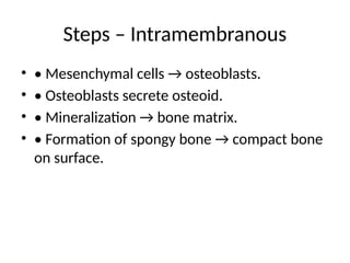Bone_Ossification_Presentation.mbbs_level_command.pptx