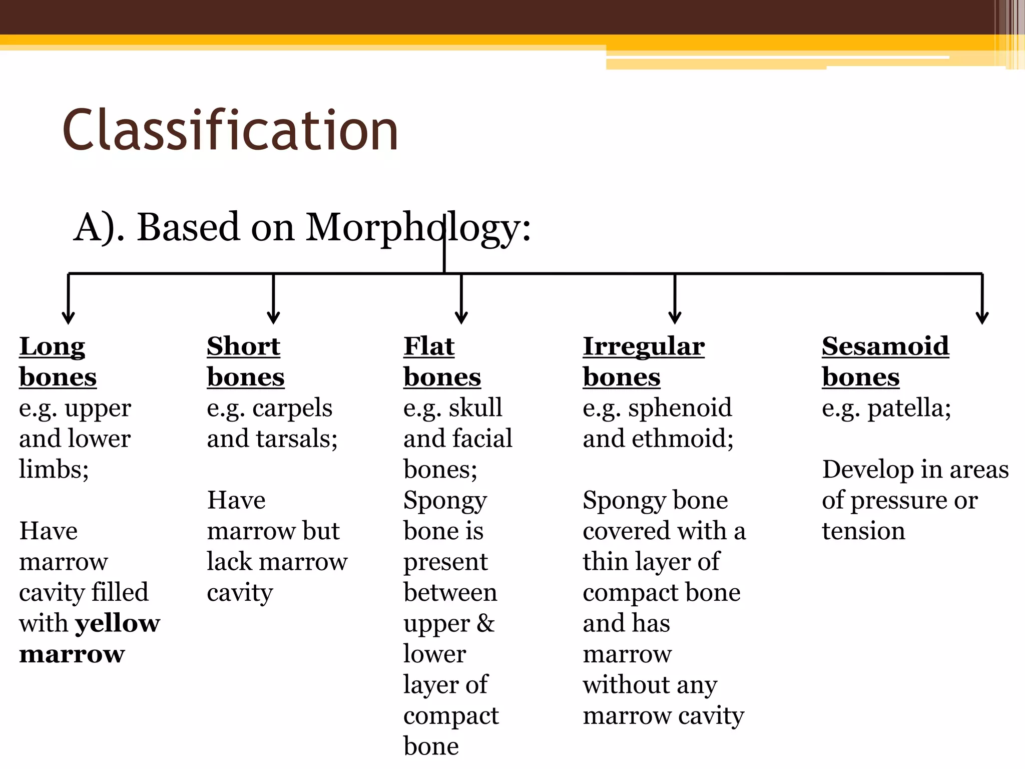 Bone pathology | PPTX