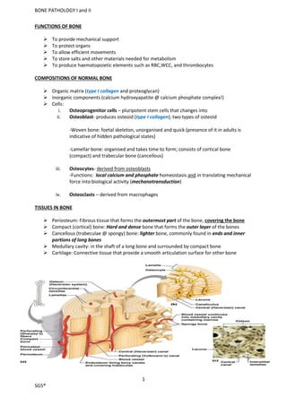 Bone pathology i and ii | PDF