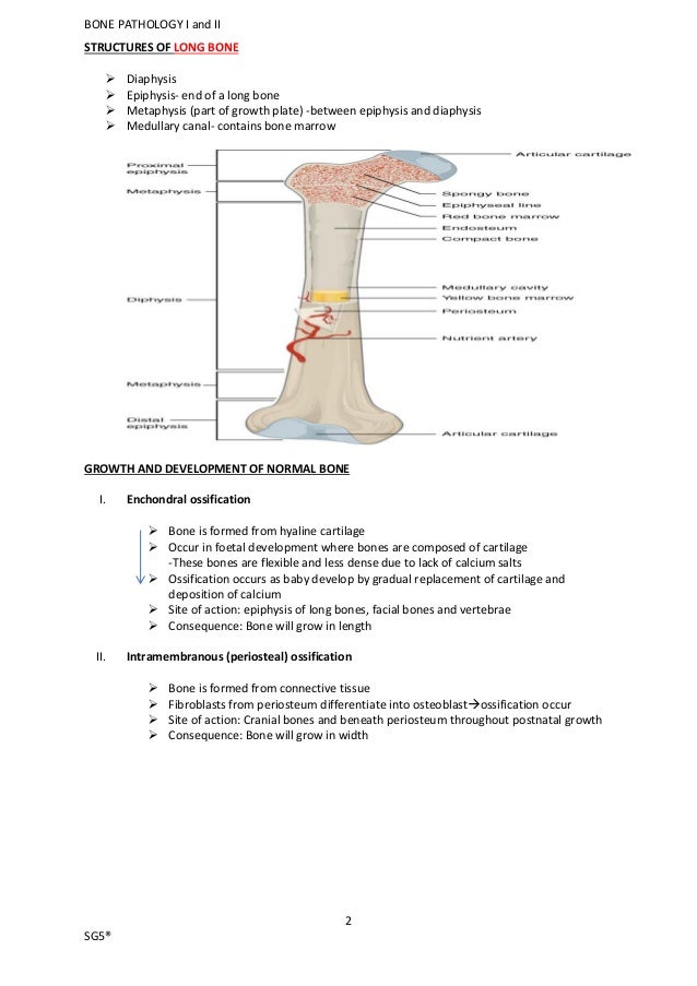 Bone pathology i and ii