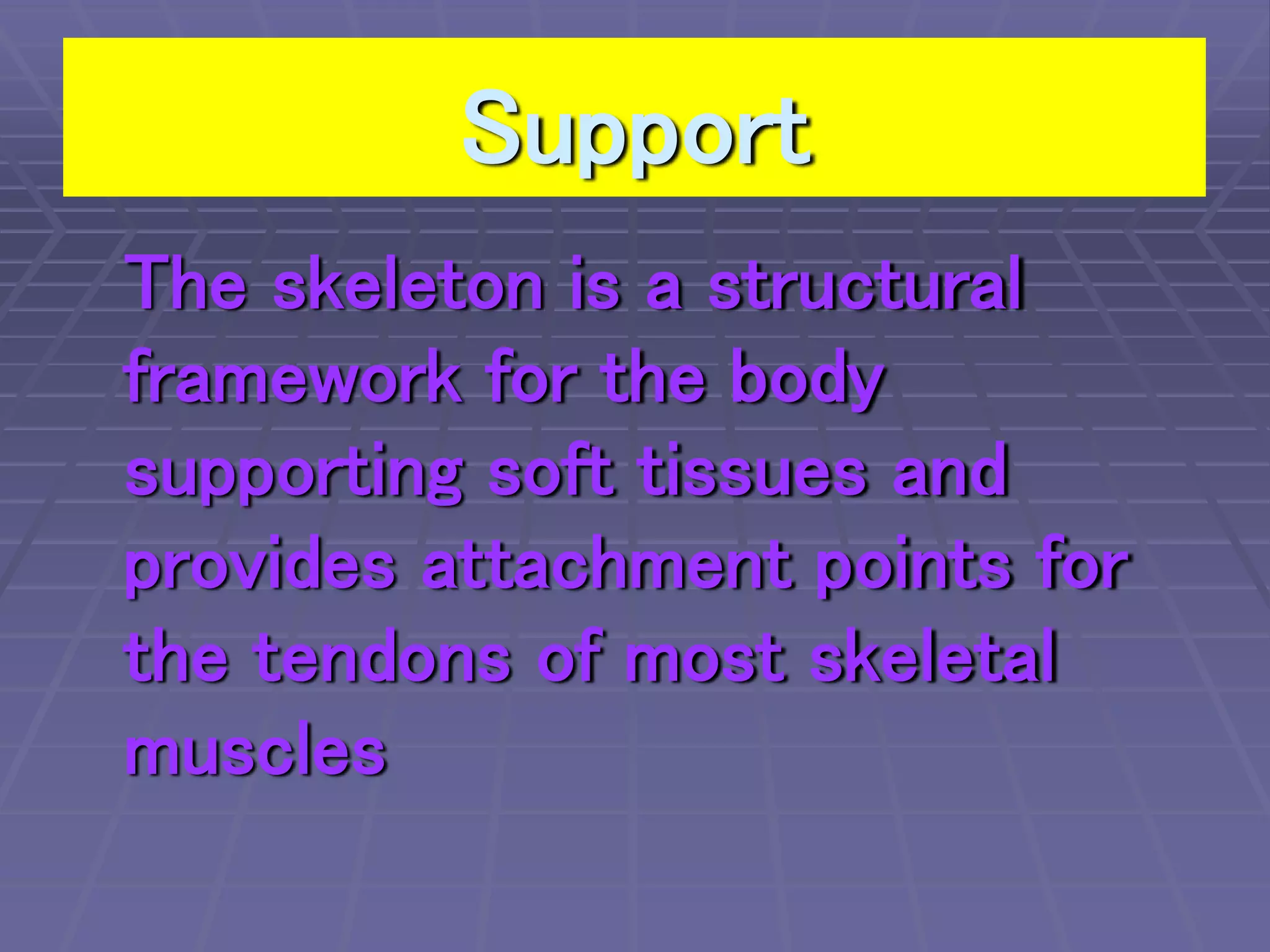 bones physiology.ppt