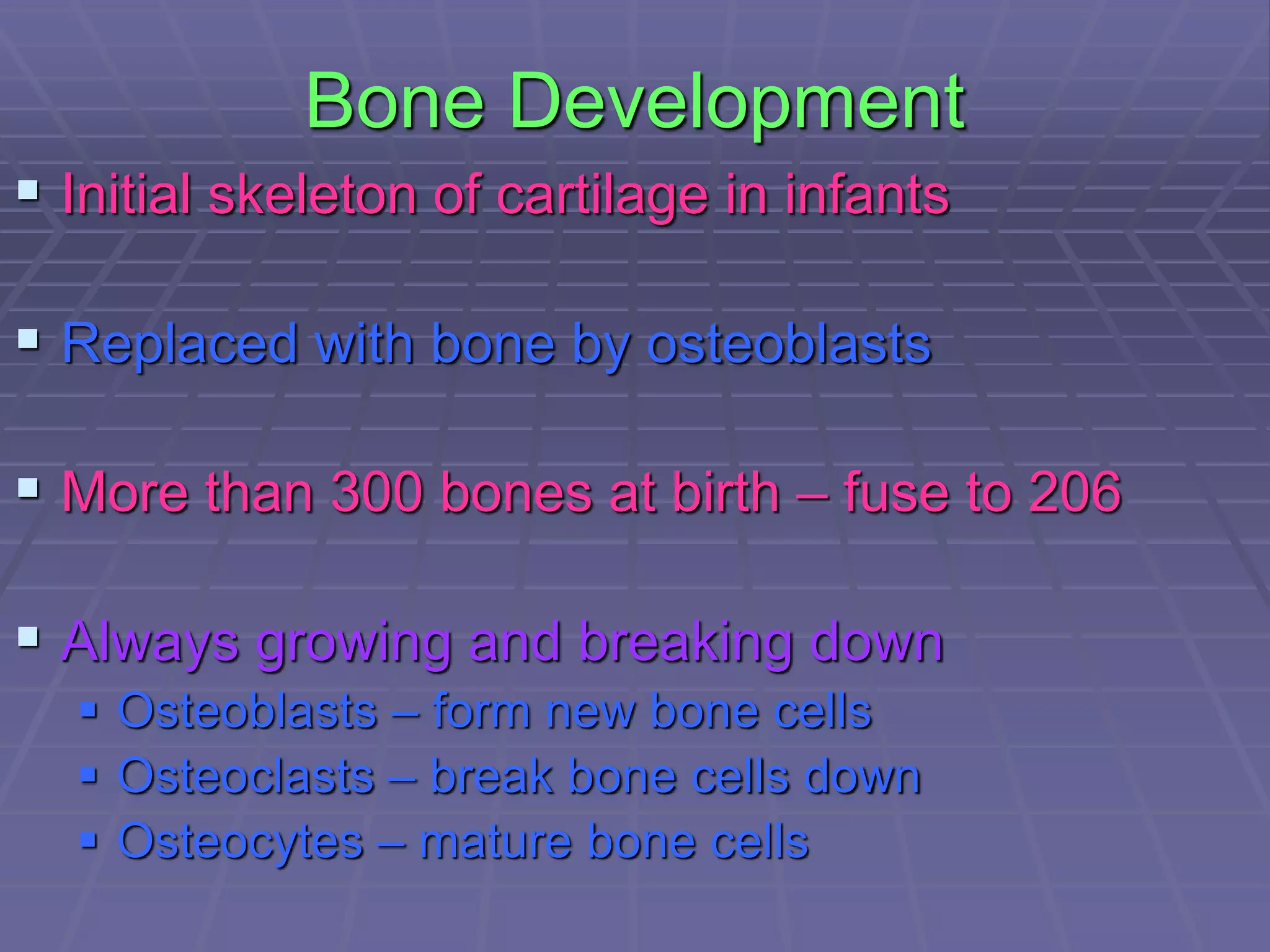 bones physiology.ppt