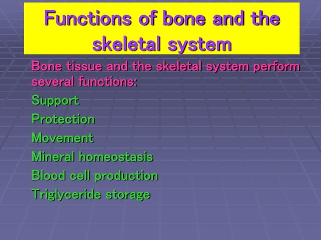 bones physiology.ppt | Bone and Joint Conditions | Diseases and Conditions