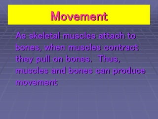 bones physiology.ppt