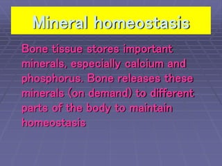 bones physiology.ppt