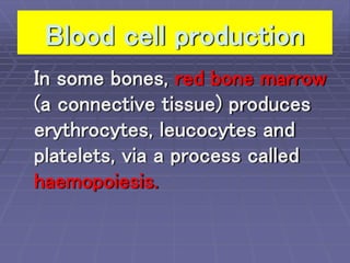 bones physiology.ppt