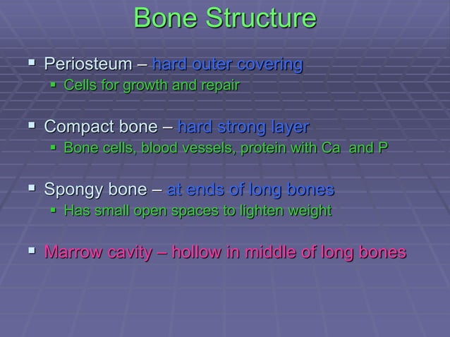 bones physiology.ppt | Bone and Joint Conditions | Diseases and Conditions