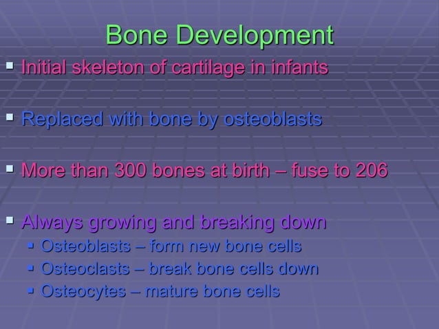 bones physiology.ppt | Bone and Joint Conditions | Diseases and Conditions