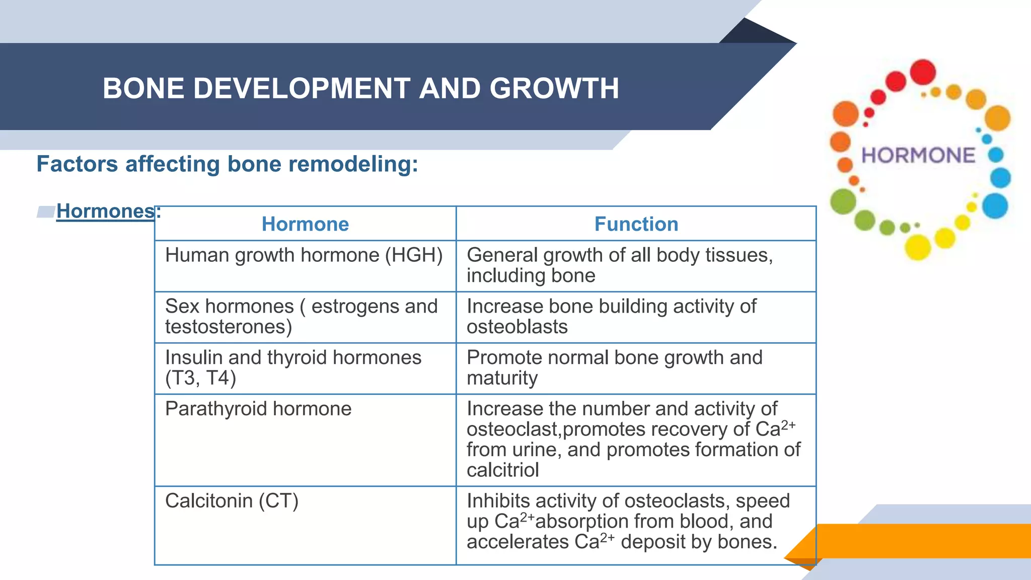 Bone physiology and calcium homeostasis | PPTX