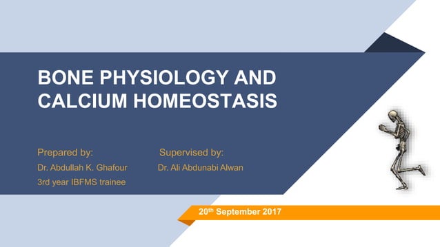 Bone physiology and calcium homeostasis | PPTX
