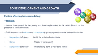 Bone physiology and calcium homeostasis | PPTX