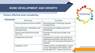 Bone physiology and calcium homeostasis | PPTX