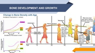 Bone physiology and calcium homeostasis | PPTX