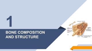 Bone physiology and calcium homeostasis | PPTX