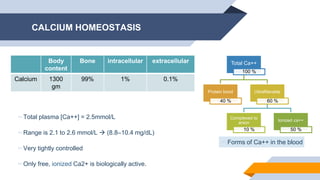 Bone physiology and calcium homeostasis | PPTX