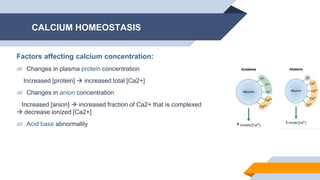 Bone physiology and calcium homeostasis | PPTX
