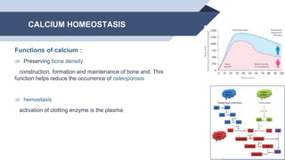 Bone physiology and calcium homeostasis | PPTX