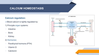 Bone physiology and calcium homeostasis | PPTX