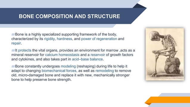 Bone physiology and calcium homeostasis | PPTX