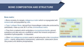 Bone physiology and calcium homeostasis | PPTX