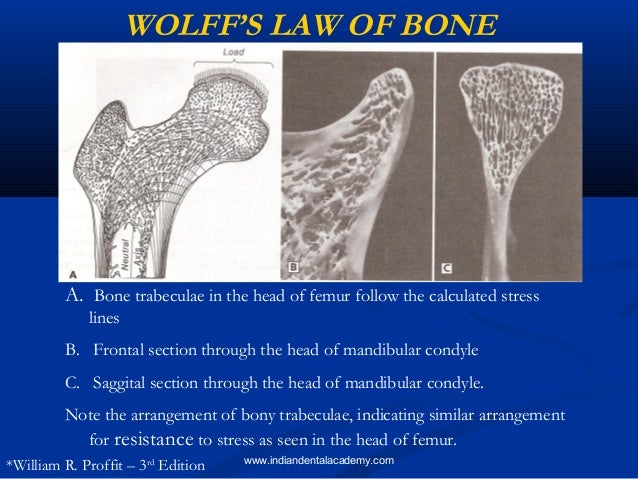 Bone physiology and endocrine functions