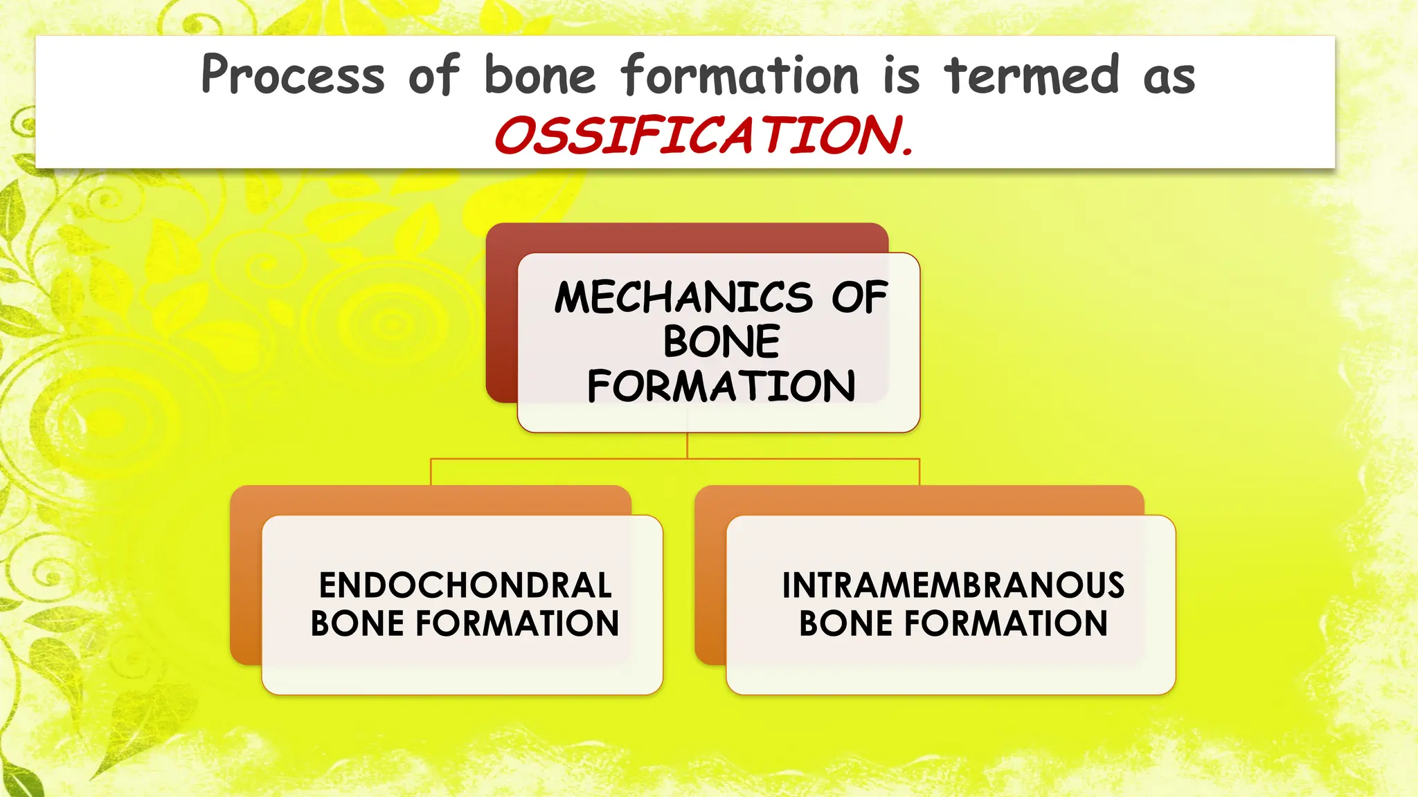 bone physiology and metabolism orthodontics | PPTX
