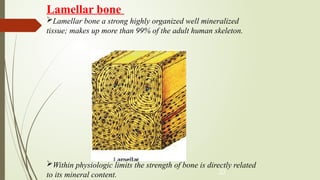 bone physiology and metabolism orthodontics | PPTX