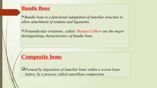 bone physiology and metabolism orthodontics | PPTX