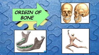bone physiology and metabolism orthodontics | PPTX