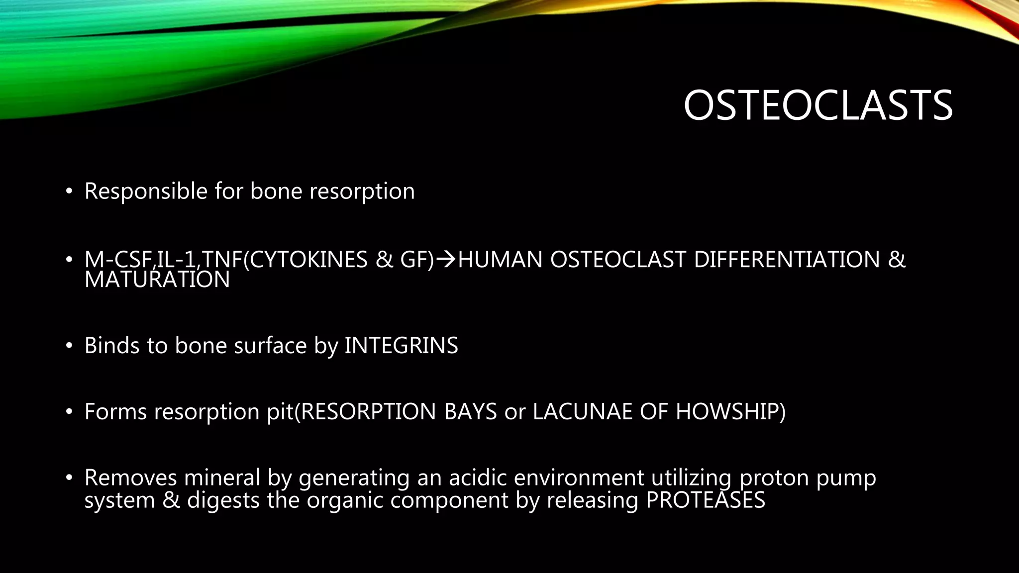 Bone physiology & regulation of calcium metabolism | PPTX