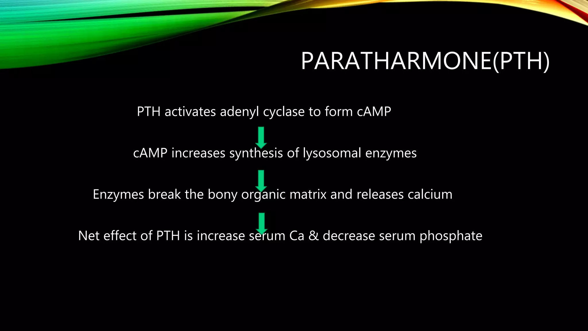 Bone physiology & regulation of calcium metabolism | PPTX
