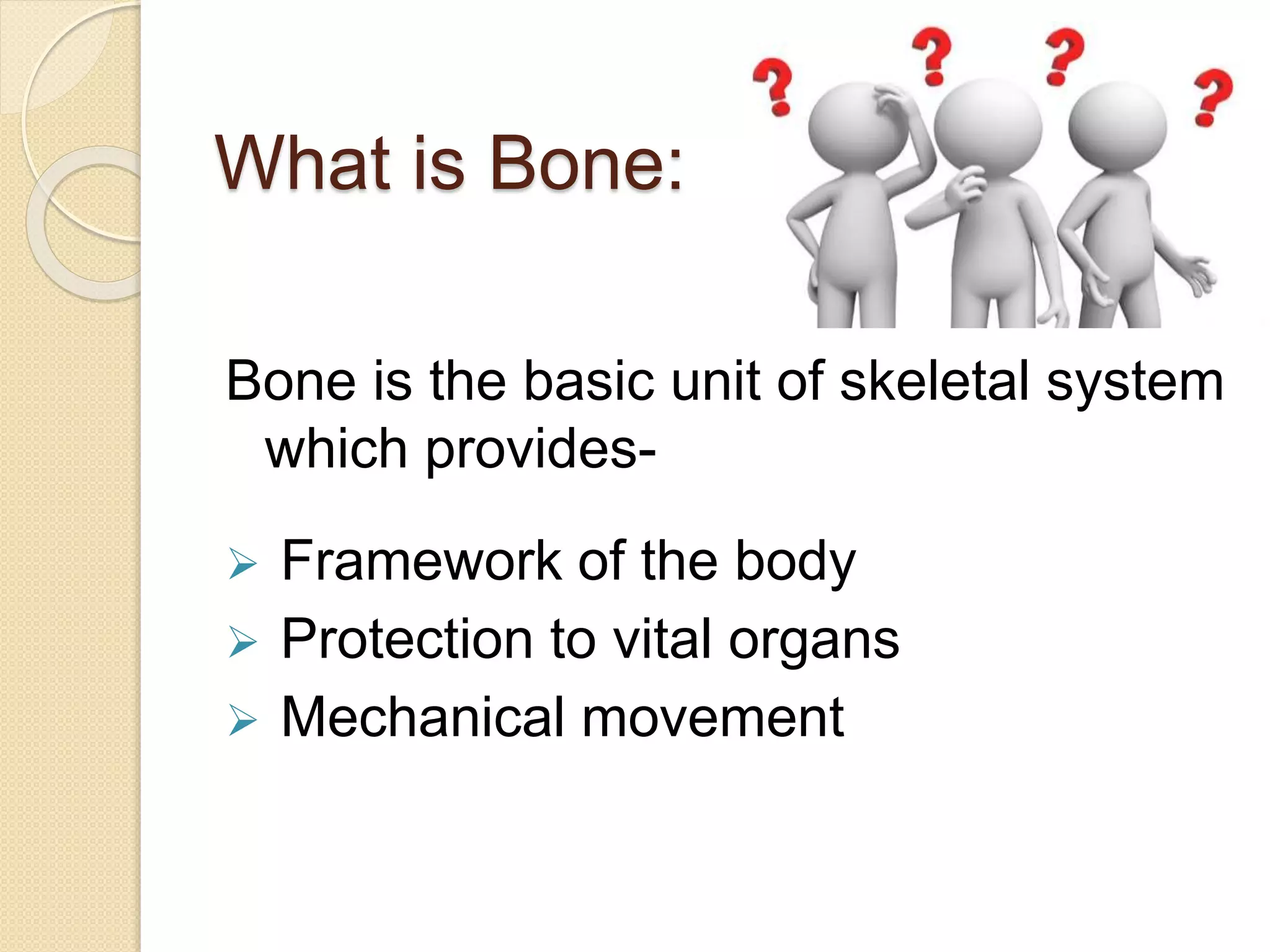 Bone ppt | PPT | Free Download