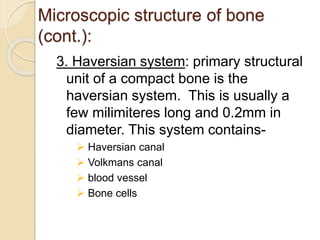 Bone ppt | PPTX