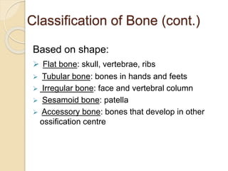 Bone ppt | PPTX