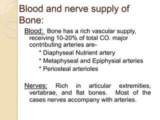 Bone ppt | PPTX