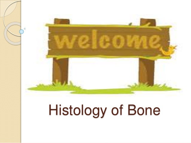 bone-ppt