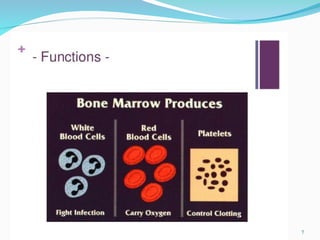 BONE PPT LECTURE.ppt of physiotherapy department | PPT