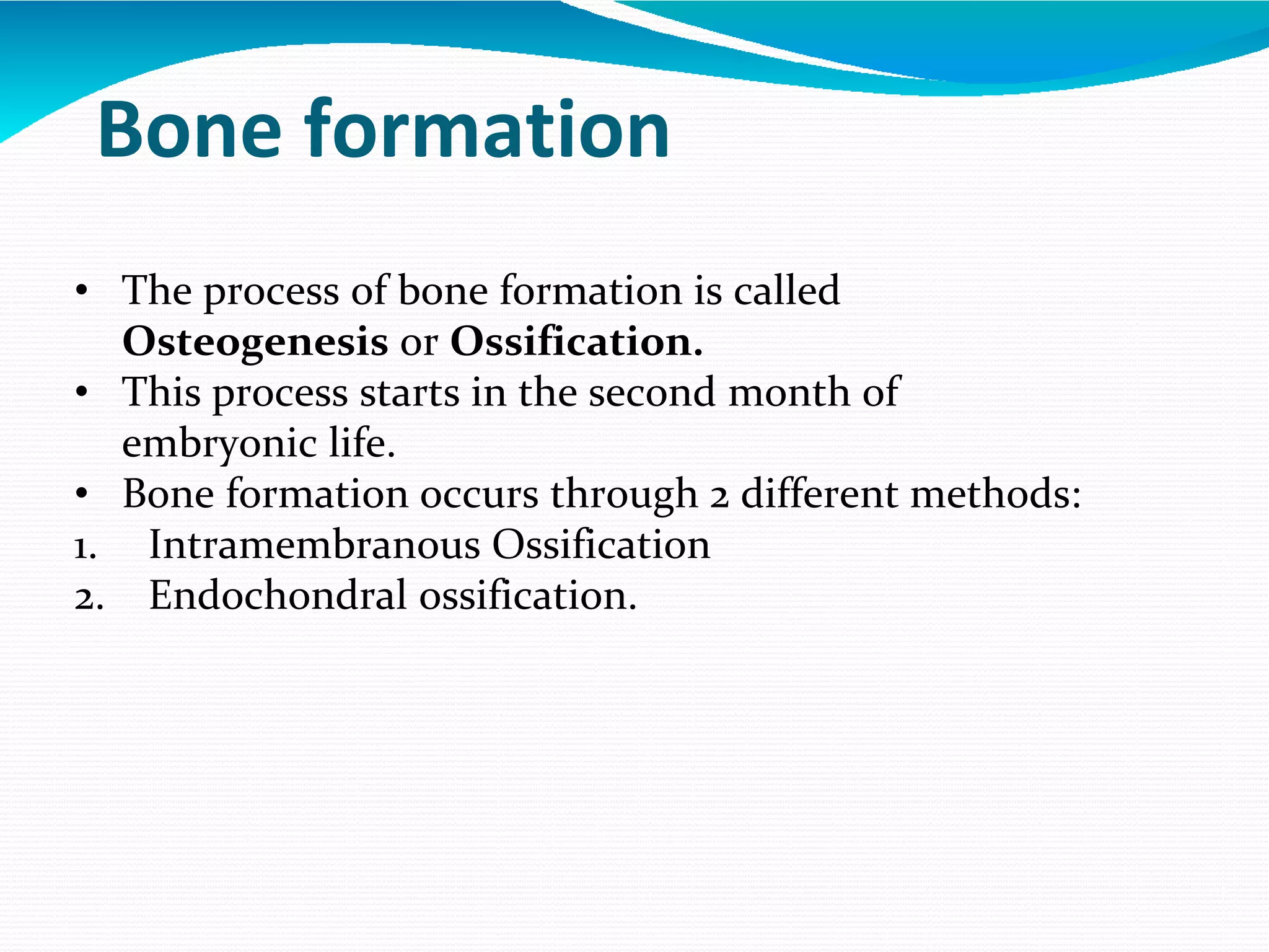 Histology of bone | PPTX