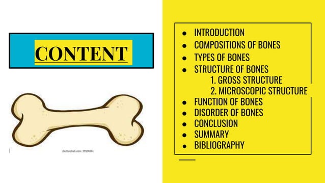 bone presentation.pptx